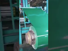 ロールリー ディ・アチェイオ スタンパティ ア カラー マルチフルコラ コン ペリコラ PE-シュート