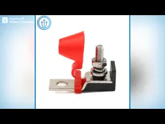 6x25mm Cartucho de sopro lento Tubo cerâmico Fuse Link 20A 75V Com Copper Silver Plated Cap