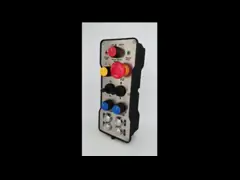 Classic Hand-held Customized Remote Control