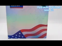 Hydraulic Cylinder Seal Kit 2
