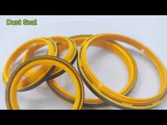 Dust Seal 1