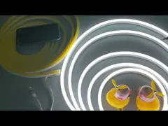 China Progra Color Chasing Magic Digital Rgb Addressable LED Pixel Neon Flex DMX512 Programmable LED Neon Rope Light for sale