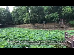 Solar Water Purifier