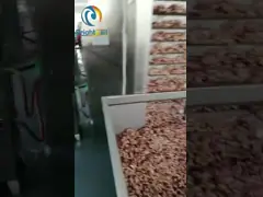 SS316 Electric Cashew Nut Roasting Machine Continuous Production