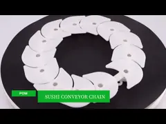 plastica di nylon di ingegneria della poliammide singola e doppia catena del rullo di fila