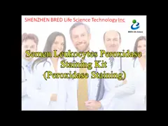 Simple Operate Men'S Fertility Test Kit Semen Leukocytes Test Kit Peroxidase Staining
