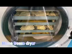 Freeze Dryer Vacuum Food Fruit Drying Lyophilization Machine With 4 Baffle