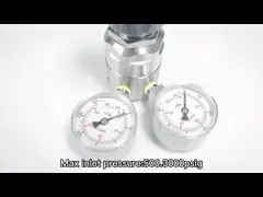 6mm OD R11 Double Gauge Pressure Regulator N2 He 4000psi SS Pressure Regulator