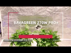 Indoor Greenhouse LM301H LED Grow Light 270w 2x4 sq ft Sonsen Driver