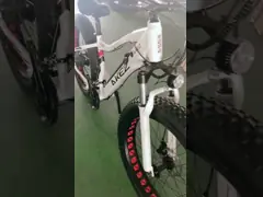 Lithium Battery Electric Bicycle 40Km/H Magnesium Alloy