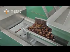 Date Palm Weighing& Cartoning System