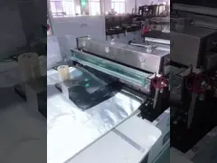 Cleanroom ESD Shielding Bags Anti Static Shielding Film Packaging