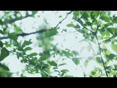 A603 Portable Home Aromatherapy Oil Diffuser