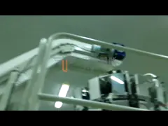 Bolso de la eficacia alta en pesador principal multi de la empaquetadora del bolso