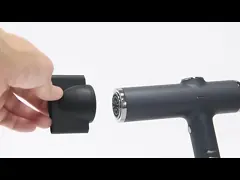 kangroud 2
