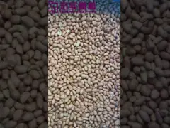Hons+ SGS Peanut color sorting machine