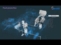 Jugo de la fábrica que hace la línea de transformación de Apple de la máquina para el jugo ISO9001 de Apple/de la pera
