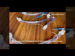 ETT Nasal Rae Tube Intubation 6.0mm PVC Endotracheal Tube