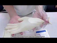 Latex Glove Supply