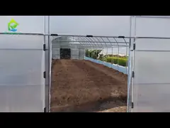 Single Layer Plastic Film Tunnel Greenhouse For Agriculture