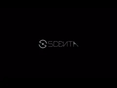 SCENTA AE103 Wall Plug In Aroma Diffuser