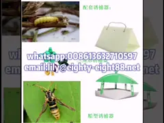 Organic Compound Agricultural Insecticides 98%TC For Pest Control