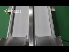 Dual-channel high-precision check weigher