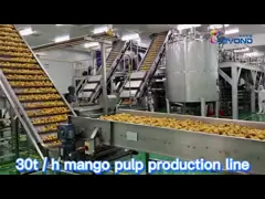 China 5 - 50T/H Fresh Mango Pulp Plant Automatic Separation Juice Processing for sale