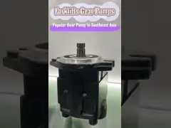 gaer pump