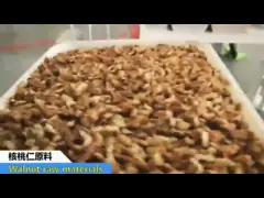 Walnut Kernel Color sorter Separator machine
