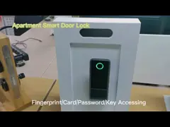 Digital app Wifi biometric smart fingerprint  lock double sided fingerprint door lock