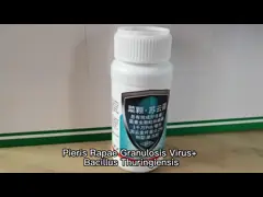 China Brassicaceous Vegetable Cabbage Pest Killing Organic Certification Pesticides PrGV Wettable Powder for sale