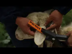 China TPU 860-960MHz UHF Long Range Distance Rfid Bar Code Animal Cattle Cow Ear Tag For Cattle Cow for sale