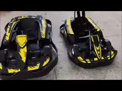 het Pretparkgo-kart van 48V 1000W CAMMUS