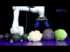 China Control Unit Software Soft Robot Gripper 1200g Load With High Versatility for sale