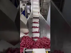 China Automatic Multihead Weigher Packing Machine High Accuracy Check Weigher Customize for sale