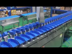 China Conveyor Belt Weight Sorting Machine Chicken Wing Fish Grader Circular Multi Weight Sorting Machine With Conveyor Belt for sale