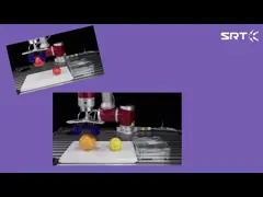 Intelligent sorting of fruits and vegetables, smart agricultural packaging solutions