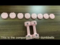 Portable Ladies Dumbbell Adjustable Anti Corrosion For Gym