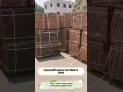 -Είναι ένα παιχνίδι.