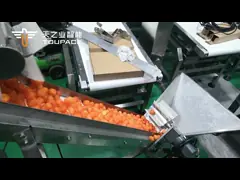 Circular Multi-Weight Sorting Machine》》》egg yolk sorting