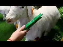 Government 55mm Tpu Two Pieces Ovine Goat Ear Tag Printing Numbers For Farm