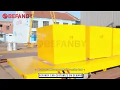 Customized Rail And Trackless Transfer Carts Factory