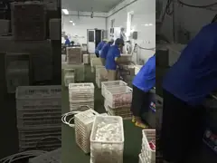 Vacuum paking machine