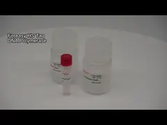 Foreasy HS Taq DNA Polymerase