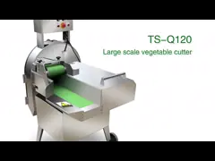 2.25KW 140KG 1.5HP Frequency conversion adjustable belt vegetable slicer vegetable leaf slicer