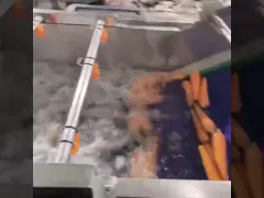 Carrots washing machine