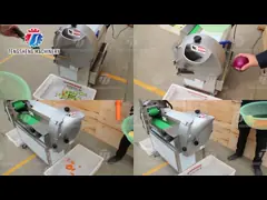 China Balsam Pear Rutabaga Industrial Fruit Slicer , Fresh Organism Vegetable Cube Cutting Machine for sale