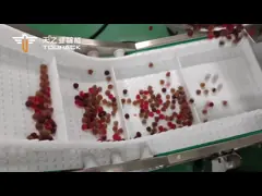 QQ Sugar Weighing Canning System