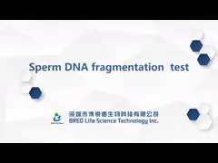 Η επαγγελματική εξάρτηση 40T/Kit αναπαρ:άγω-002 δοκιμής τεμαχισμού DNA σπέρματος εύκολη λειτουργεί